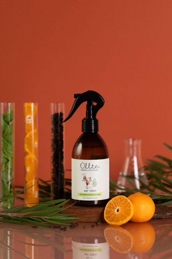 Natural, Safe Home & Personal Care + Essential Oils | Ollie